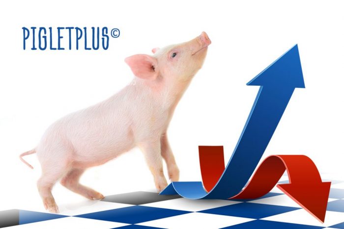 SupraPlus© | PlusVet Animal Health