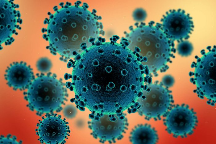 Las infecciones virales respiratorias predisponen a la colibacilosis ...
